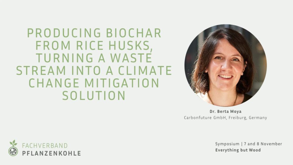 Producing biochar from rice husks, turning a waste stream into a ...