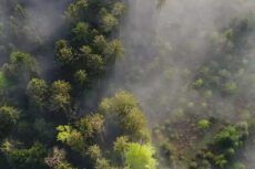 Carbon Standards International erhält bedingte ICROA-Anerkennung ...