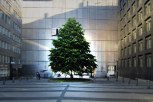 Biochar - German Biochar e.V.